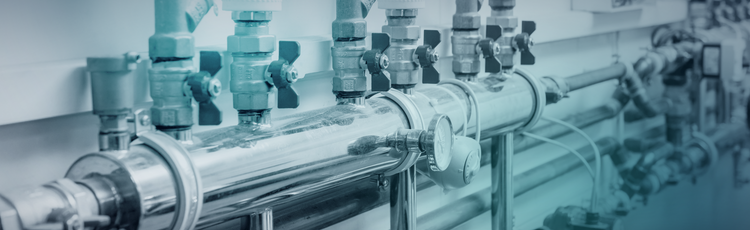 Home | pH Power Pellets – PH Power Pellets